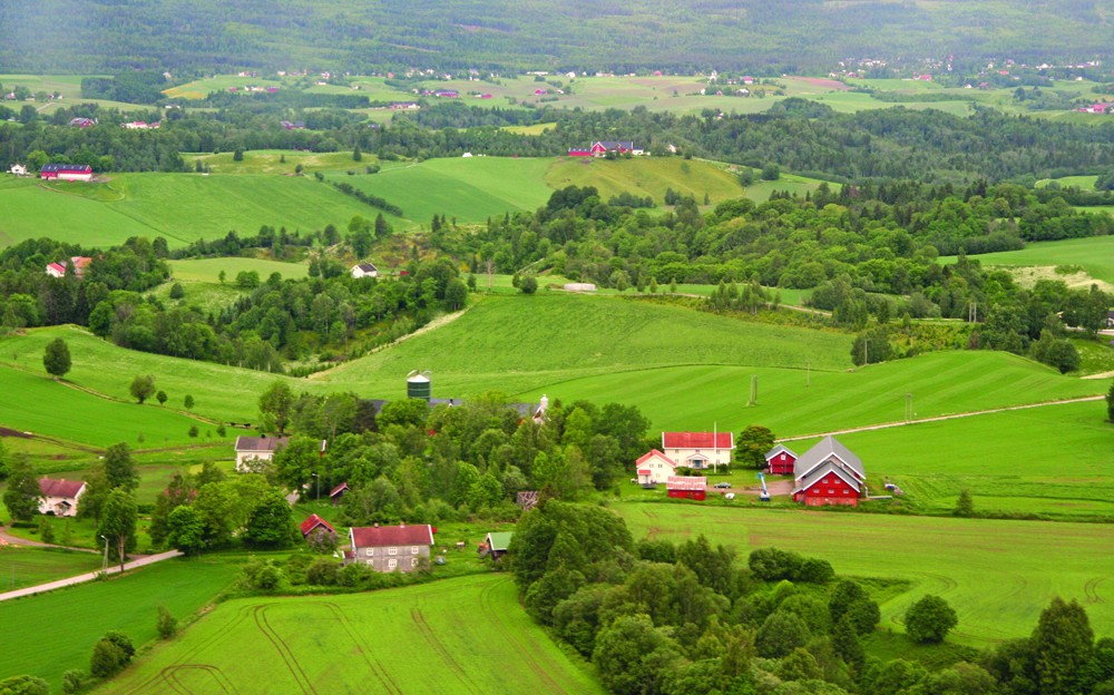 Rural Area rural-area